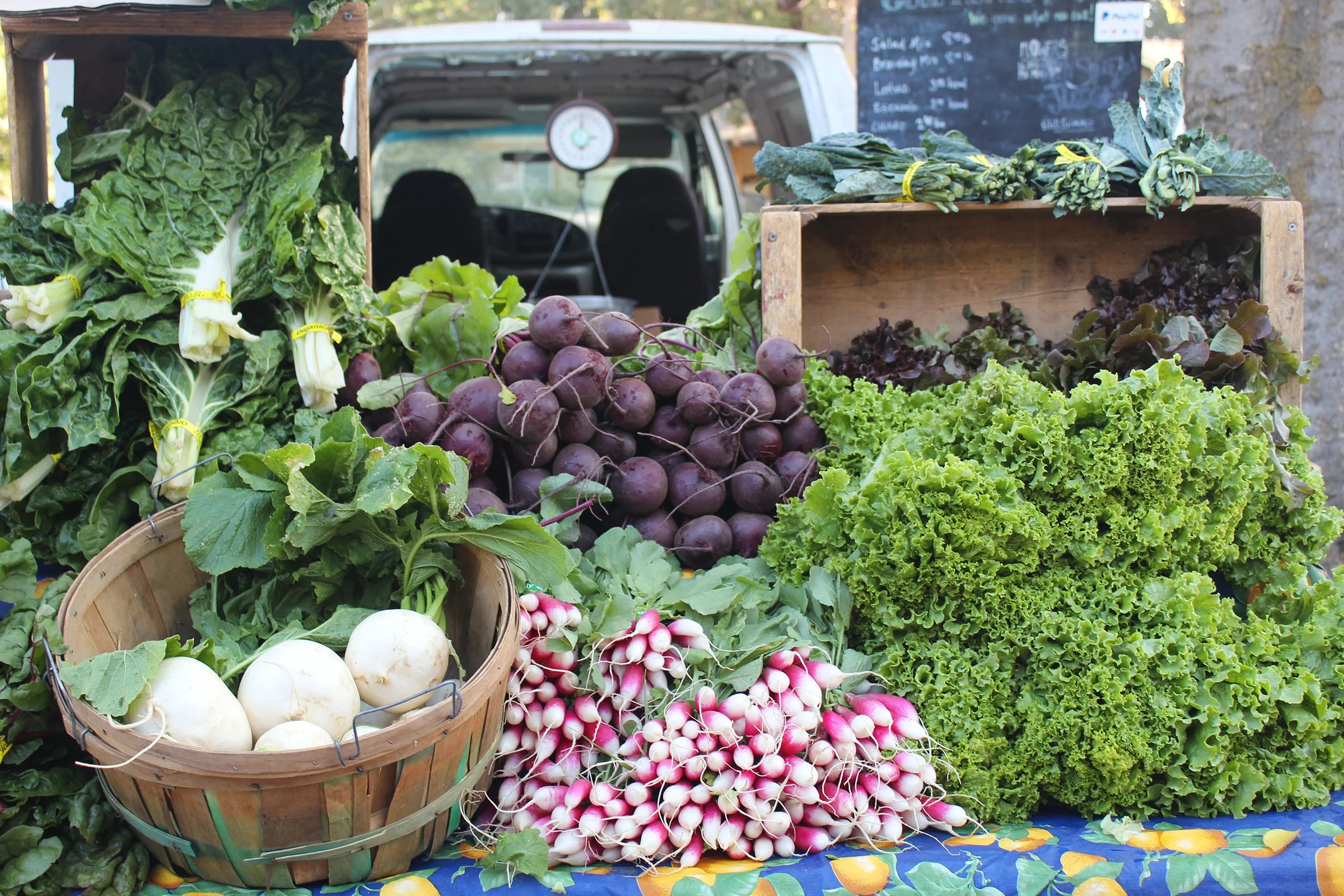Lowering Food Safety Barriers for Organic Growers – Baur Food Systems Lab